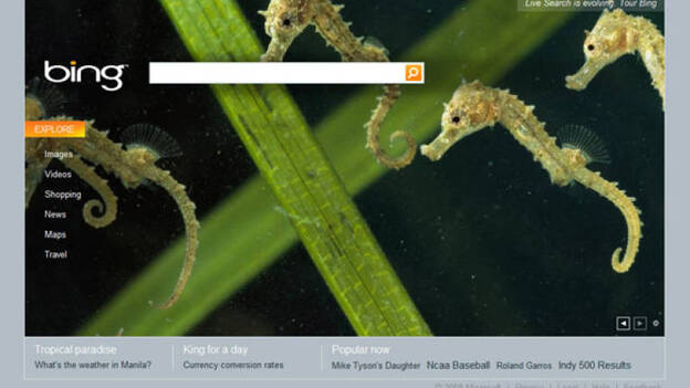Bing: La versión Beta del nuevo Buscador de Microsoft llega a España ...