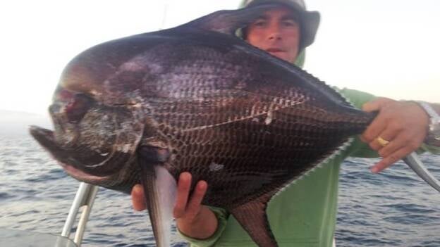 ¡Fuerte 'japuta' ! | Canarias7