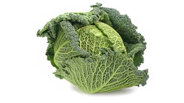 ¿Una berza prodigiosa? | Canarias7