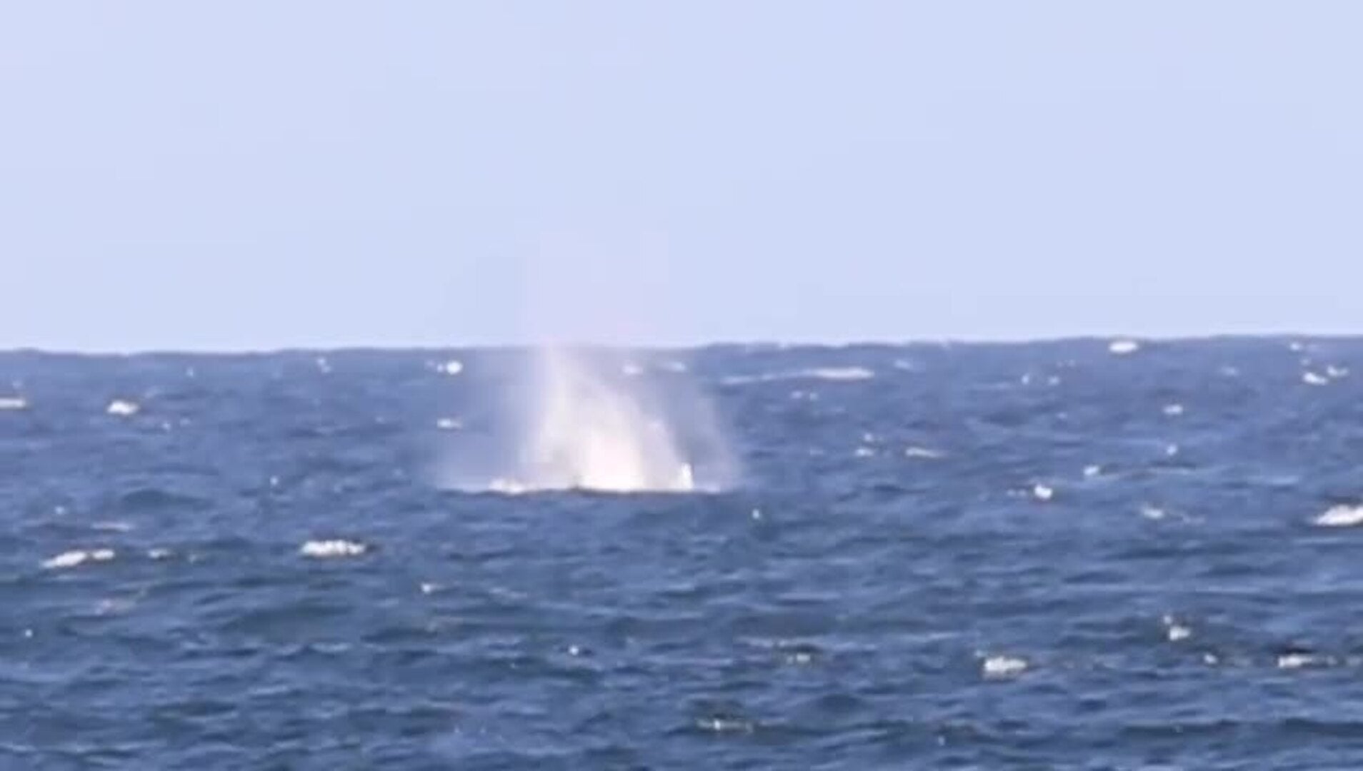 Avistan a una ballena en todo su esplendor en La Santa | Canarias7